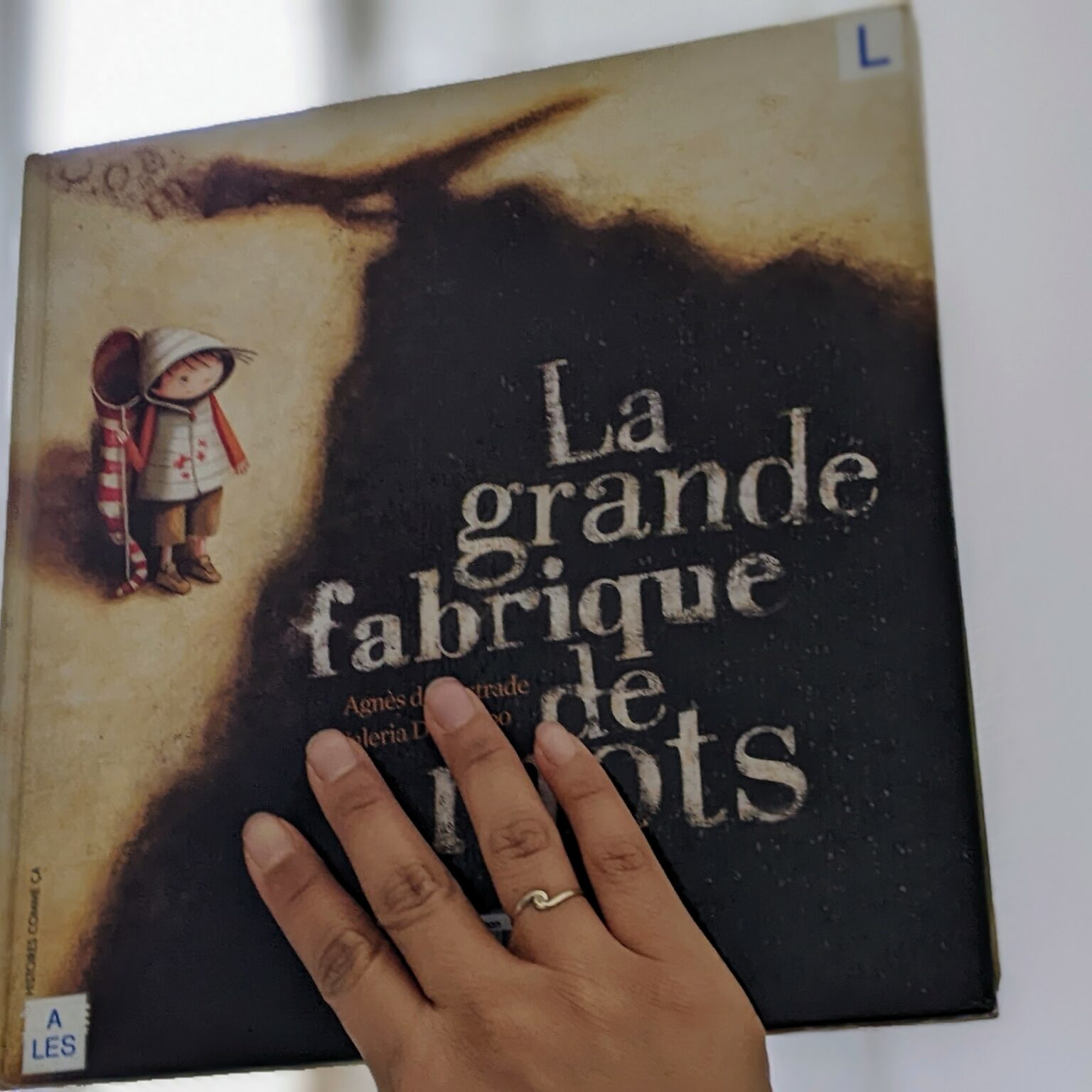 Les mots de l’amour – Lula Médias